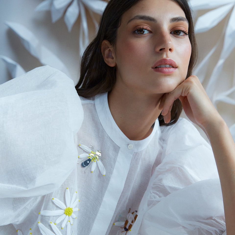 Collections – Psophía